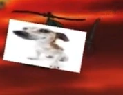 Helicopter Dawg Agent | Boppity cat Wiki | Fandom