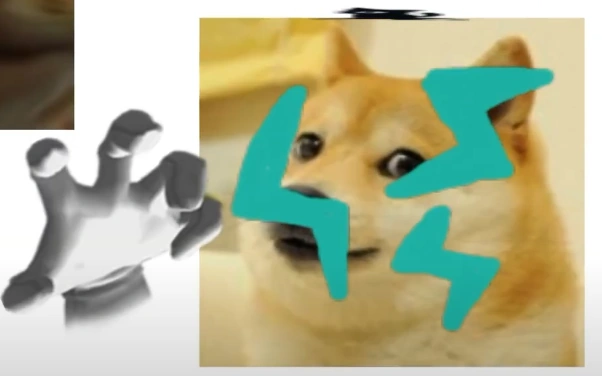 Boppity Parasitic cat | Boppity cat Wiki | Fandom