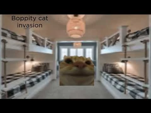 Boppity cat 1 | Boppity cat Wiki | Fandom