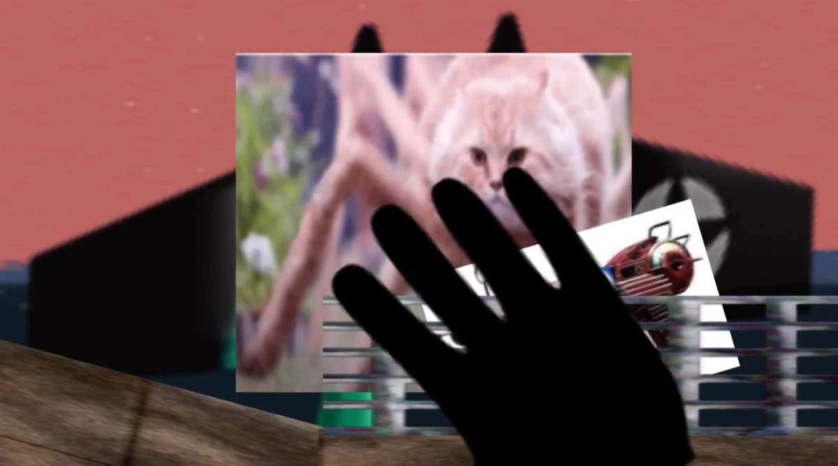 Boppity cat 45 | Boppity cat Wiki | Fandom