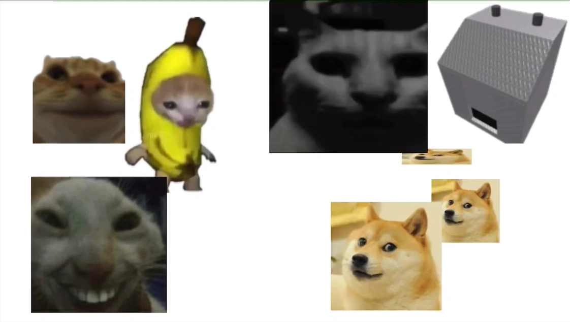 Boppity cat 6 | Boppity cat Wiki | Fandom