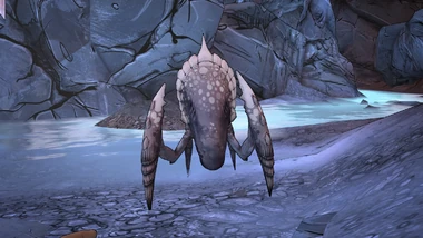 Spiderant | Borderlands Lore Wiki | Fandom