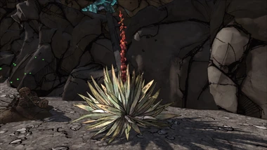 Pandora | Borderlands Lore Wiki | Fandom