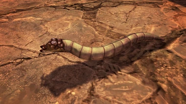 Sand Worm | Borderlands Lore Wiki | Fandom