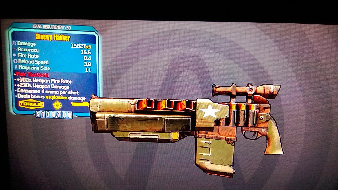 Flakker Borderlands 2