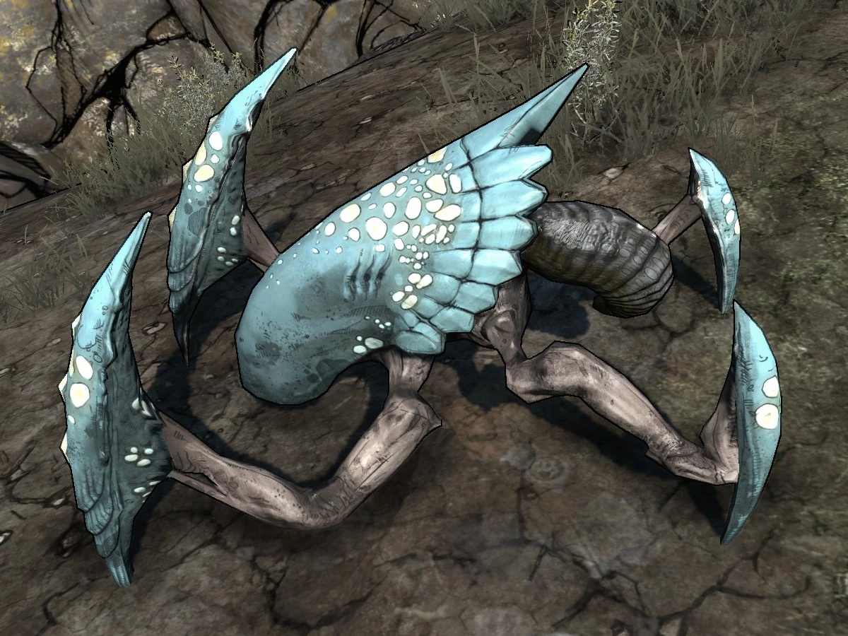 Spiderant Soldier | Borderlands Wiki | Fandom