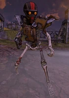 Undead Marauder | Borderlands Wiki | Fandom