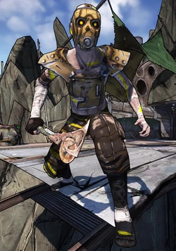 Psycho Borderlands Tua