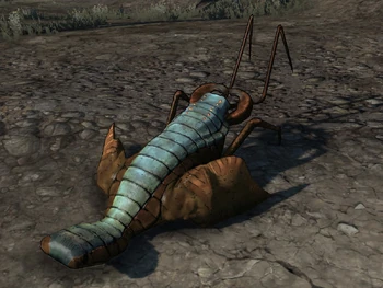 Giant Scythid | Borderlands Wiki | Fandom