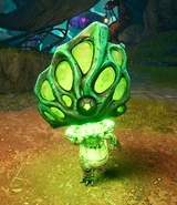 Exploder Shroom | Borderlands Wiki | Fandom
