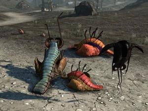 Scythid | Borderlands Wiki | Fandom