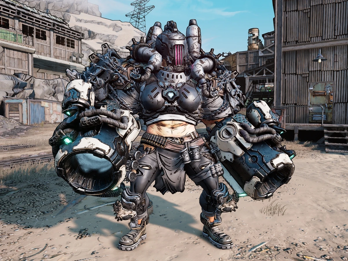 Badass Hag | Borderlands Wiki | Fandom