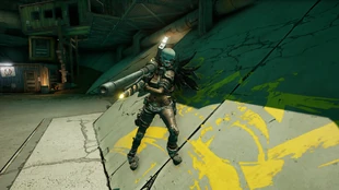 Badass Fanatic | Borderlands Wiki | Fandom