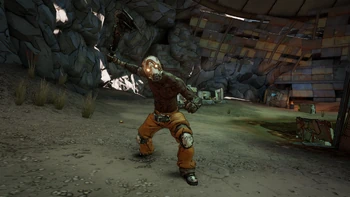 Psycho (Borderlands 3) | Borderlands Wiki | Fandom