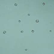 Hellwalker (Borderlands 4) | Borderlands Wiki | Fandom