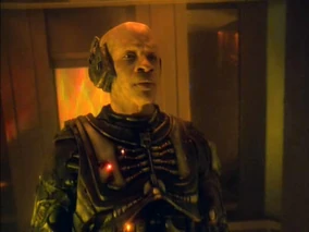 Three of Twelve | The Borg Collective, Star Trek Wiki | Fandom