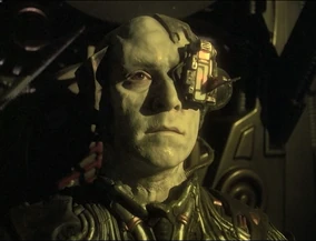 Four of Twelve | The Borg Collective, Star Trek Wiki | Fandom