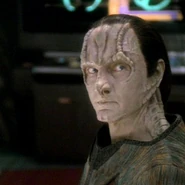 Species Designations | The Borg Collective, Star Trek Wiki | Fandom