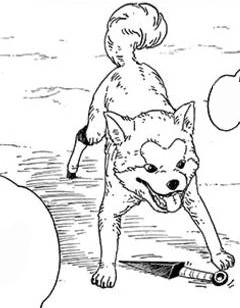 Chamaru | Boruto Wiki | Fandom