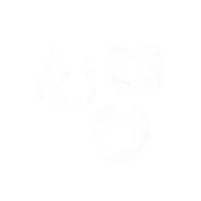 Boss Blitz Wiki | Fandom