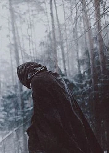 Cloaked Traveller | BossFight Universe Wiki | Fandom