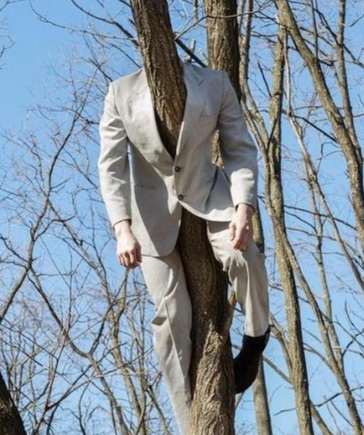 The tree progenitor | BossFight Universe Wiki | Fandom