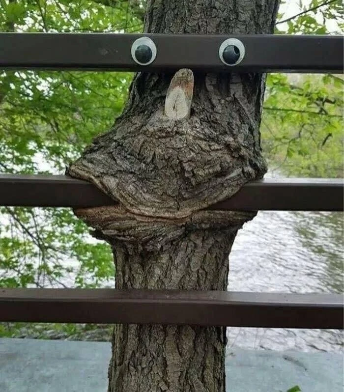 Tree men | BossFight Universe Wiki | Fandom