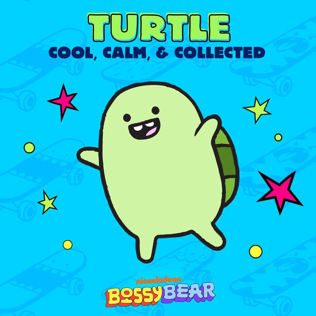 Turtle/Gallery | Bossy Bear Wiki | Fandom