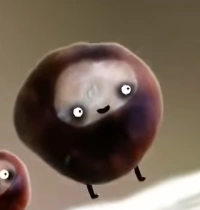 Каштаниха | Ботаникула вики | Fandom