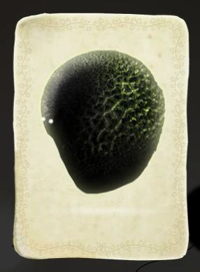 Stone | Botanicula Wiki | Fandom