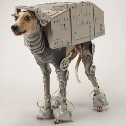 DogpostBot | The Bot Appreciation Society Wiki | Fandom