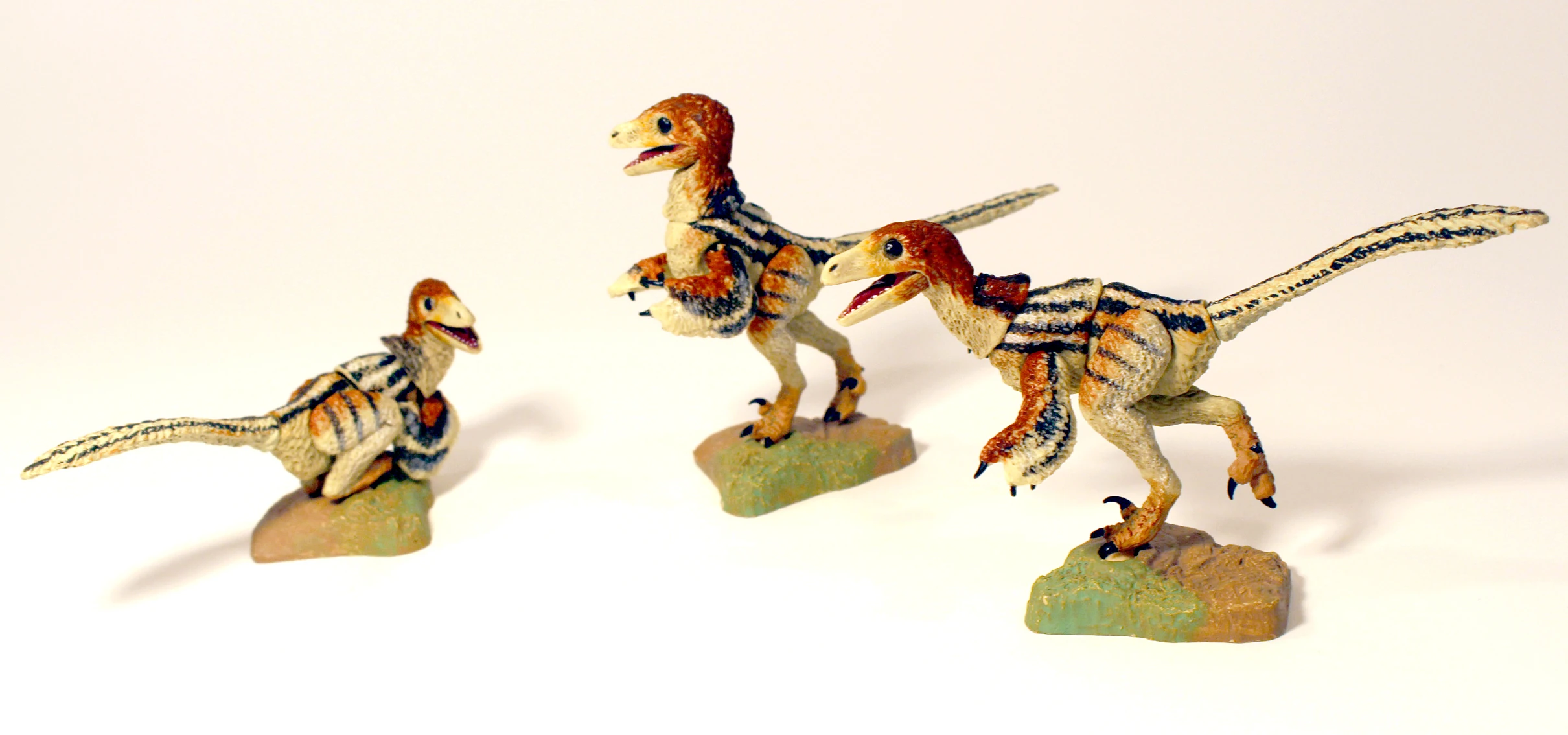Different Types Of Raptors