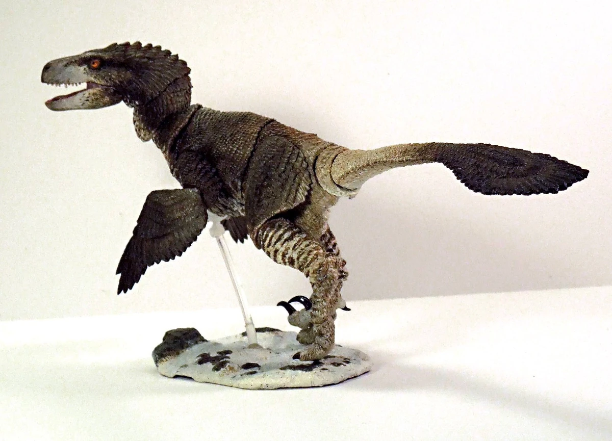 Dromaeosaurus albertensis | Beasts of the Mesozoic Wiki | Fandom
