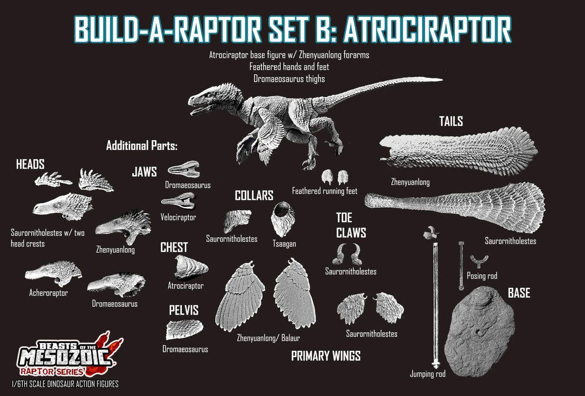 Build-a-Raptor Set B | Beasts of the Mesozoic Wiki | Fandom