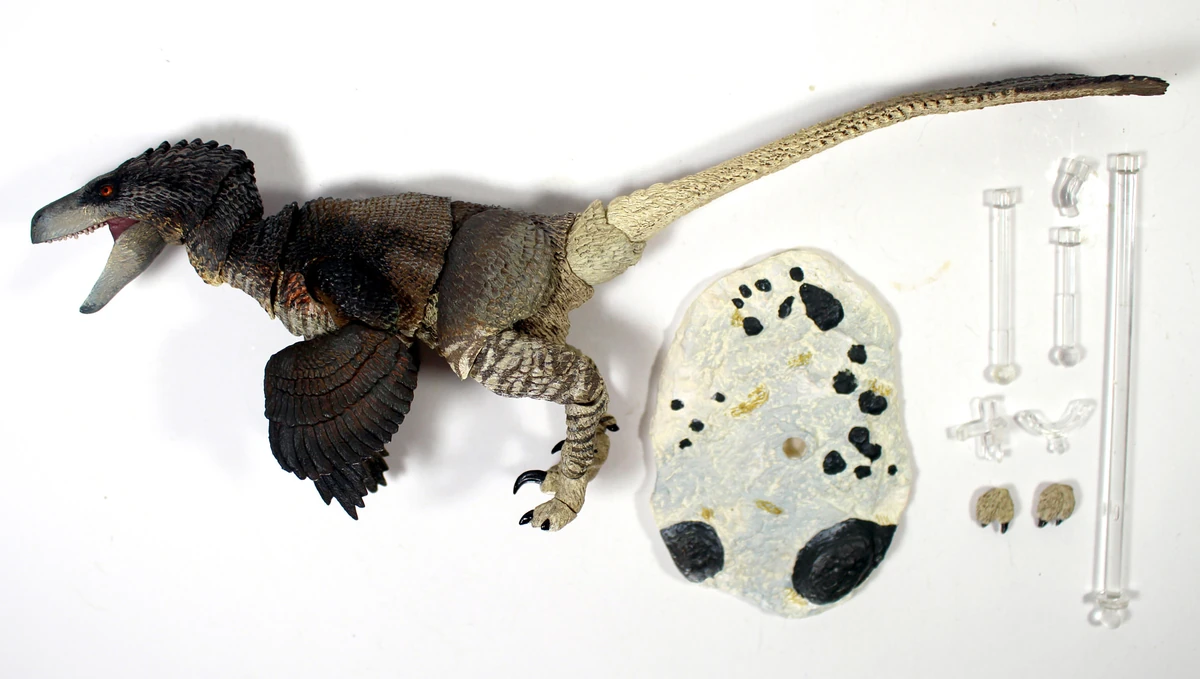 Dromaeosaurus albertensis/Gallery | Beasts of the Mesozoic Wiki | Fandom