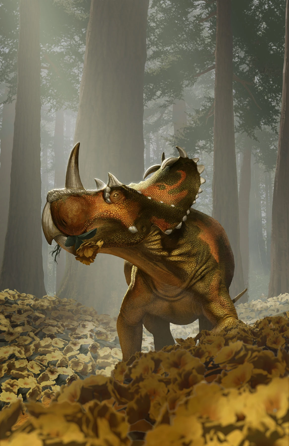 Centrosaurus Apertus