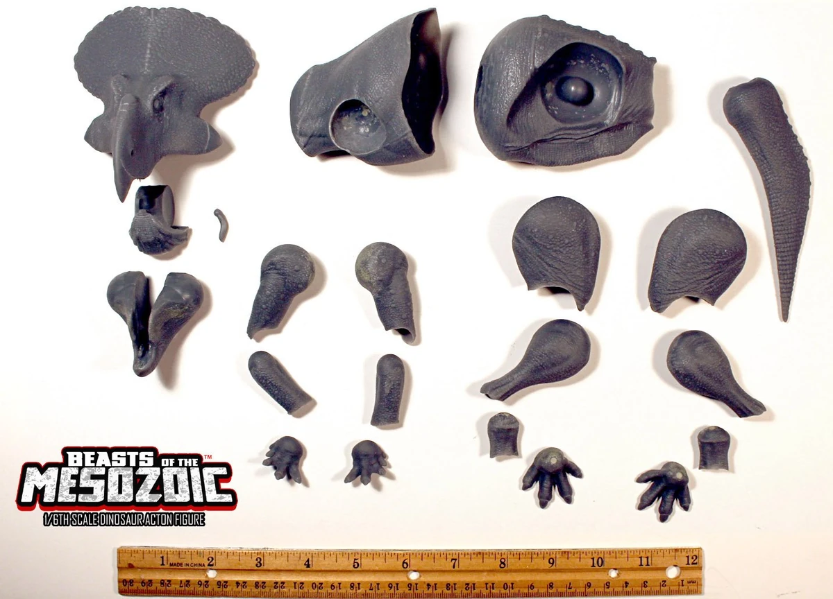 Protoceratops andrewsi/Gallery | Beasts of the Mesozoic Wiki | Fandom