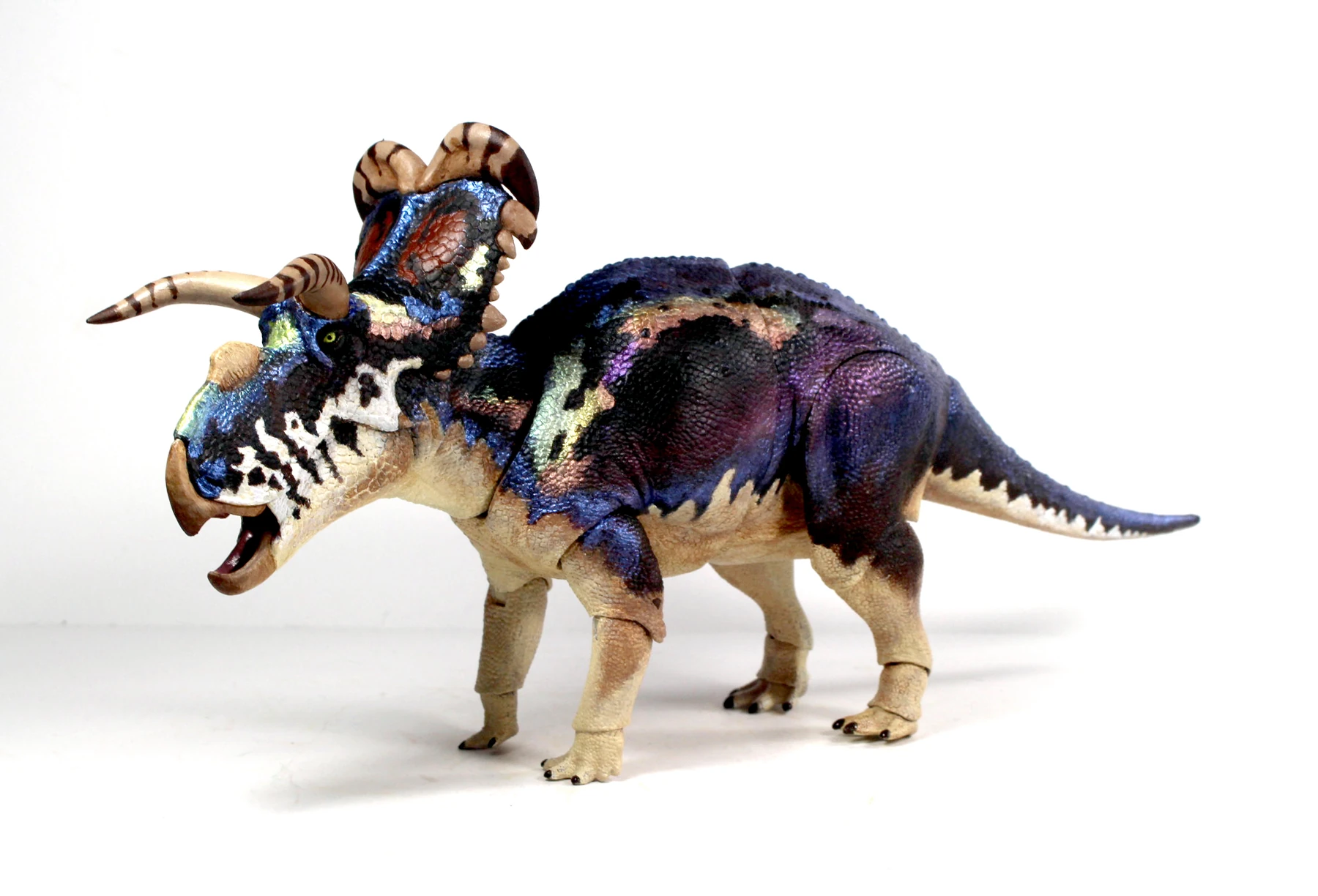 Medusaceratops lokii (Fans Choice) | Beasts of the Mesozoic Wiki | Fandom