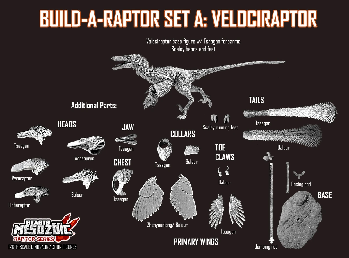 Build-a-Raptor Set A | Beasts of the Mesozoic Wiki | Fandom