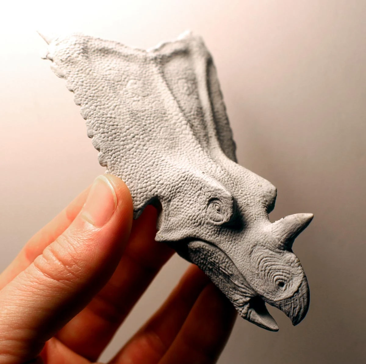 Chasmosaurus belli/Gallery | Beasts of the Mesozoic Wiki | Fandom