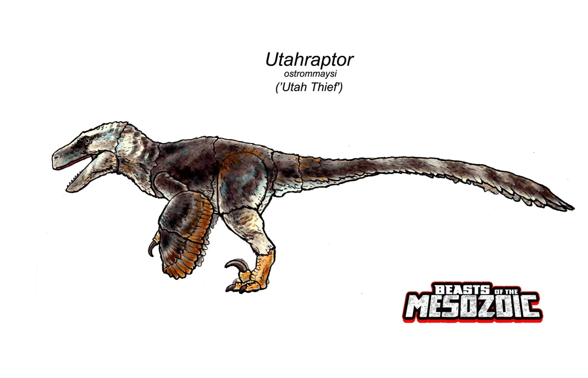 Utahraptor ostrommaysi | Beasts of the Mesozoic Wiki | Fandom