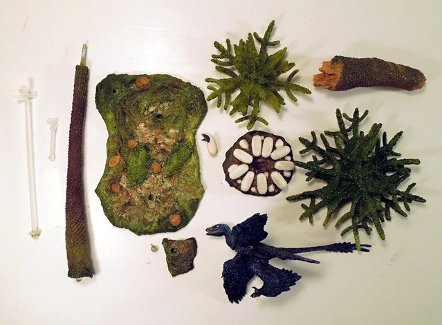 Forest Accessory Pack/Gallery | Beasts of the Mesozoic Wiki | Fandom