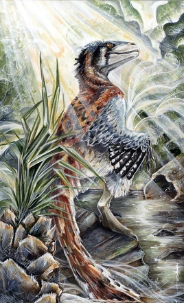 Dromaeosaurus albertensis (Fans Choice) | Beasts of the Mesozoic Wiki ...