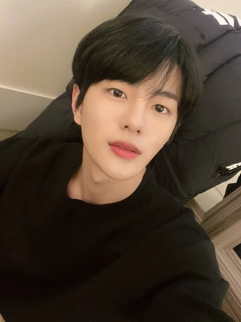 Shinnosuke/Korean Pop | Bouken-Hibiki Wiki | Fandom