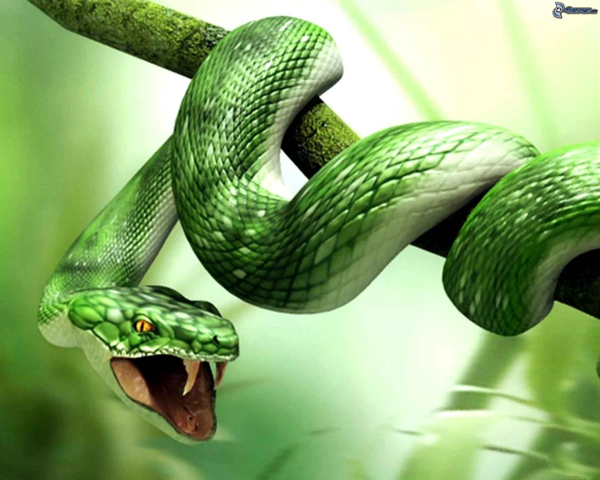 Snark | BournemouthDoW2 Wikia | Fandom