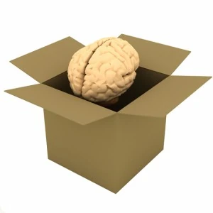 Brain Box | Boxes Wiki | Fandom