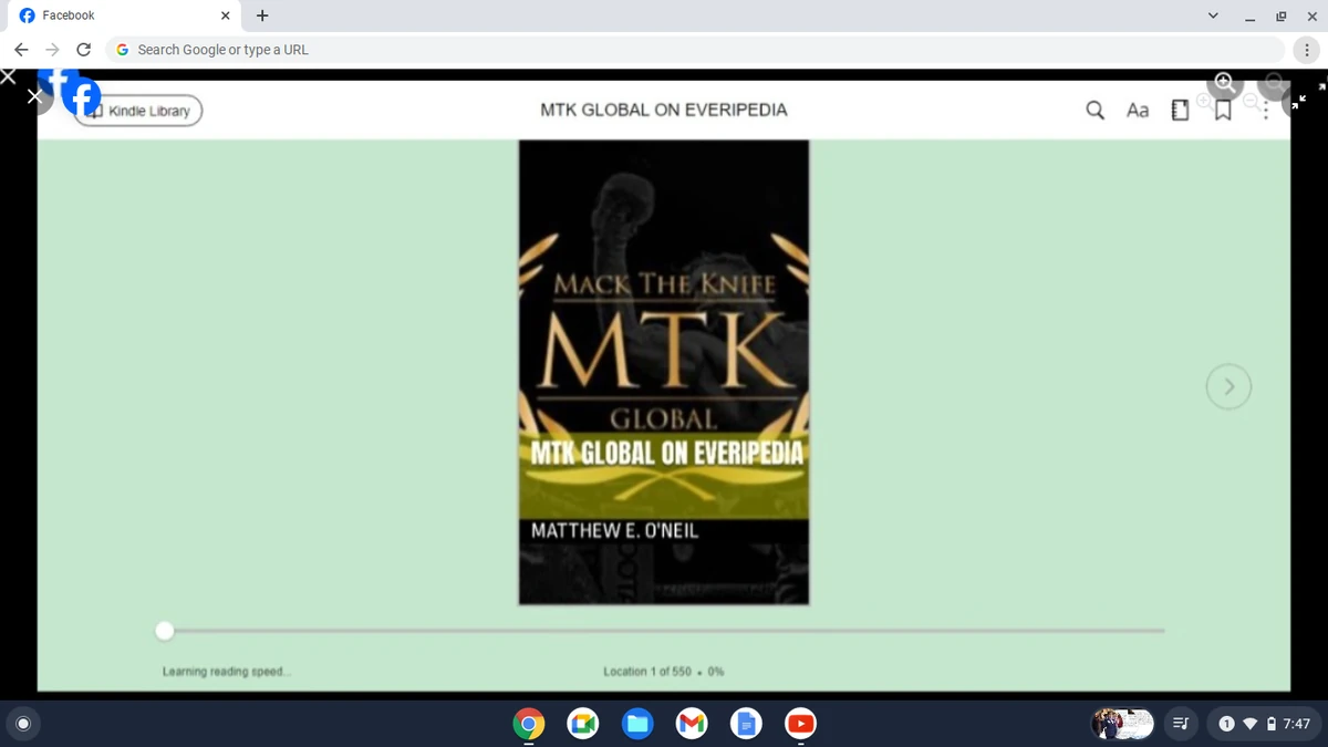 MTK Global On Everipedia | Boxing Wiki | Fandom