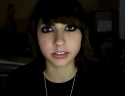 Boxxy Wallpaper