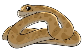 Rat | Your Boyfriend Wiki | Fandom