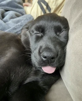 Sookie | Boys of Tommen Wiki | Fandom